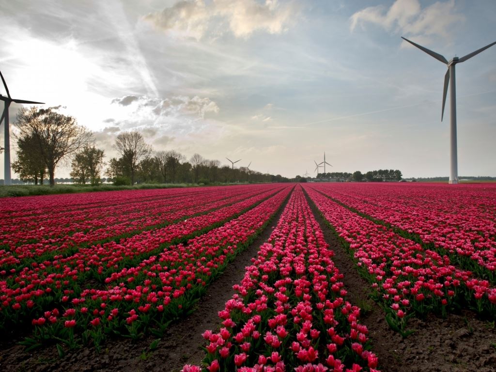 Das holländische Flevoland besuchen