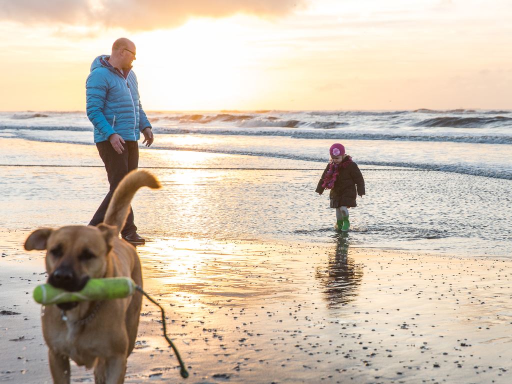 Hundestrände - Urlaub mit Hund am Meer