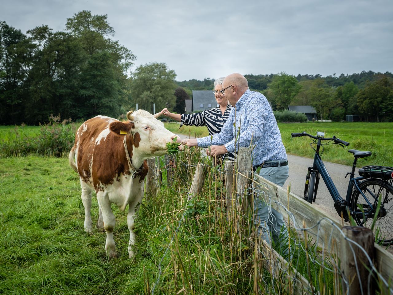 Ferienpark Landal Residence Berger Duinen | Landal GreenParks
