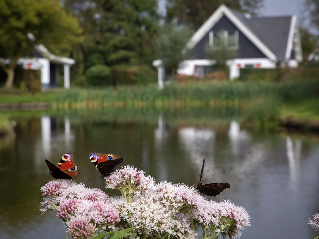 Grün, grüner, am grünsten | Landal GreenParks