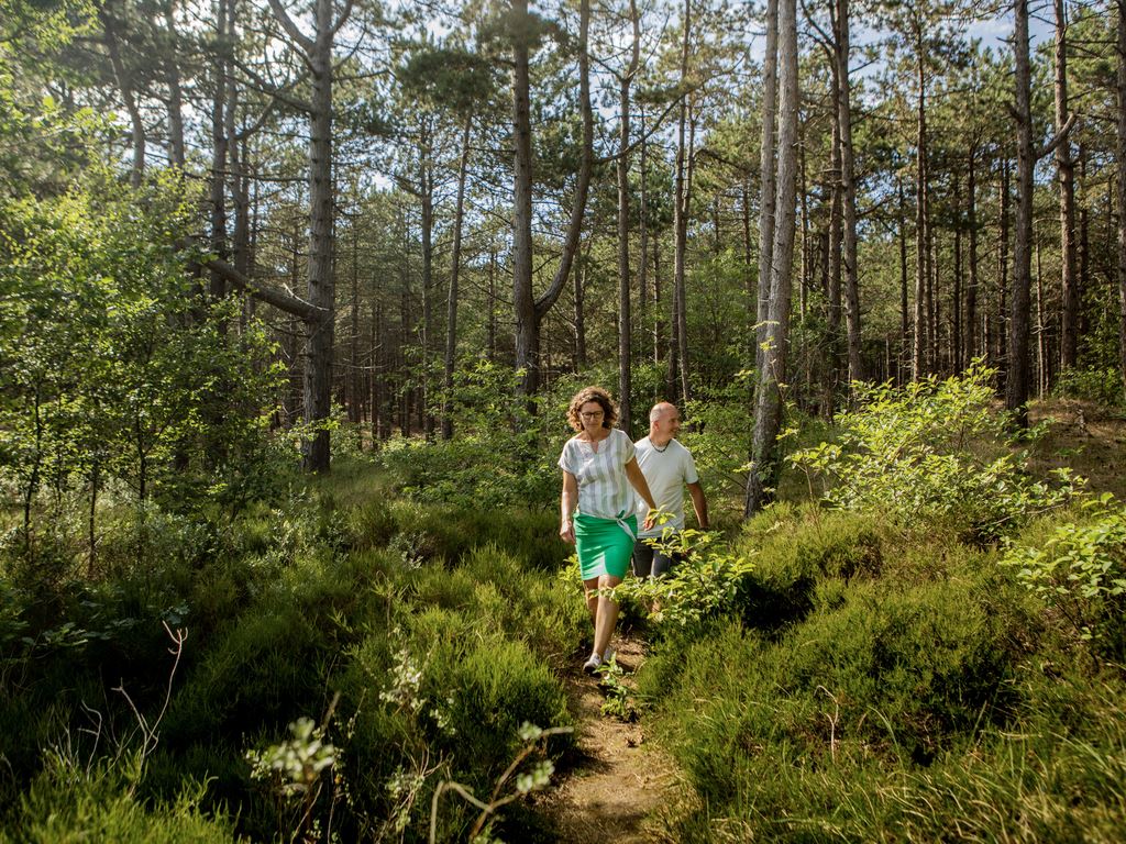 Ferienpark Landal De Vlinderhoeve | Landal GreenParks